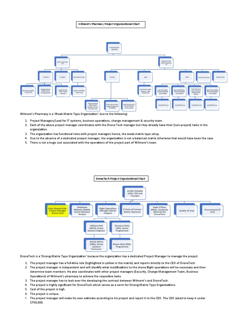 Wilmont’s Pharmacy Project Organizational Chart | Leadership ...