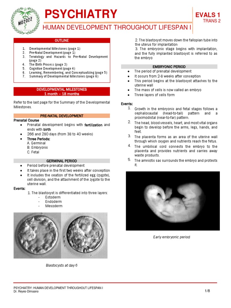 Understanding Human Development Throughout the Lifespan: An Outline of ...