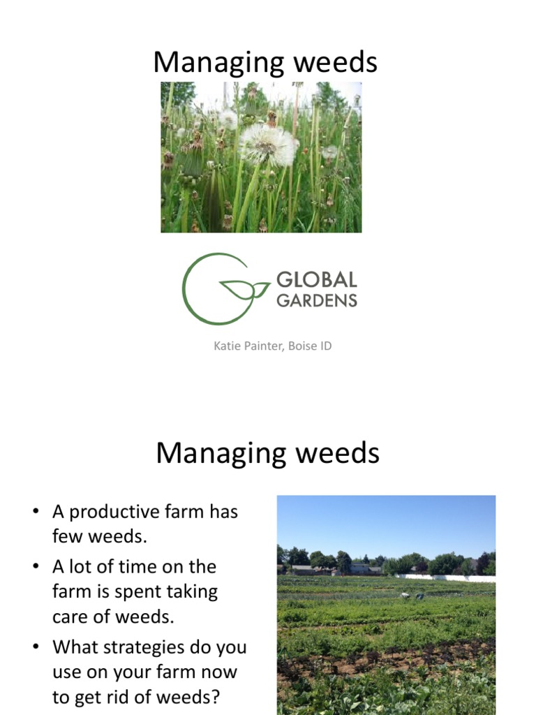 Weed Management PPT | PDF | Weed | Tillage