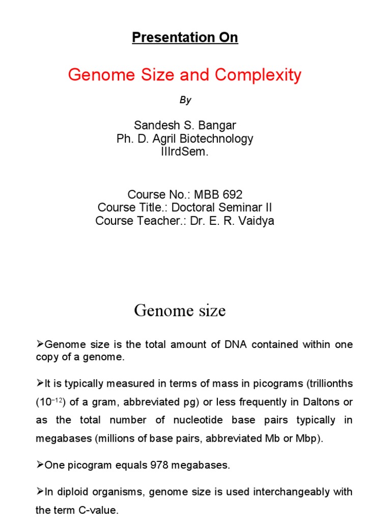 Genome Size and Complexity: Presentation On | PDF | Genome | Intron