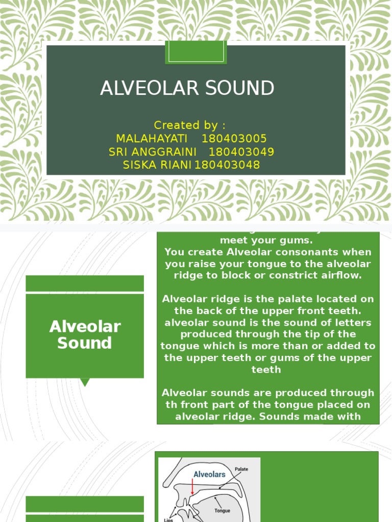 Understanding Alveolar Sounds in Speech | PDF