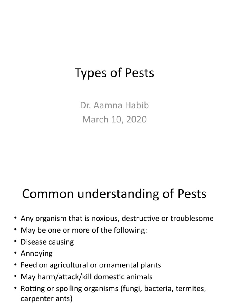 Understanding the Types and Impacts of Common Pests | PDF | Pest ...
