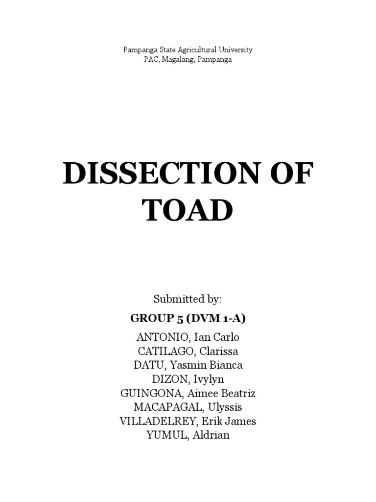 Dissection of Toad | PDF | Liver | Frog