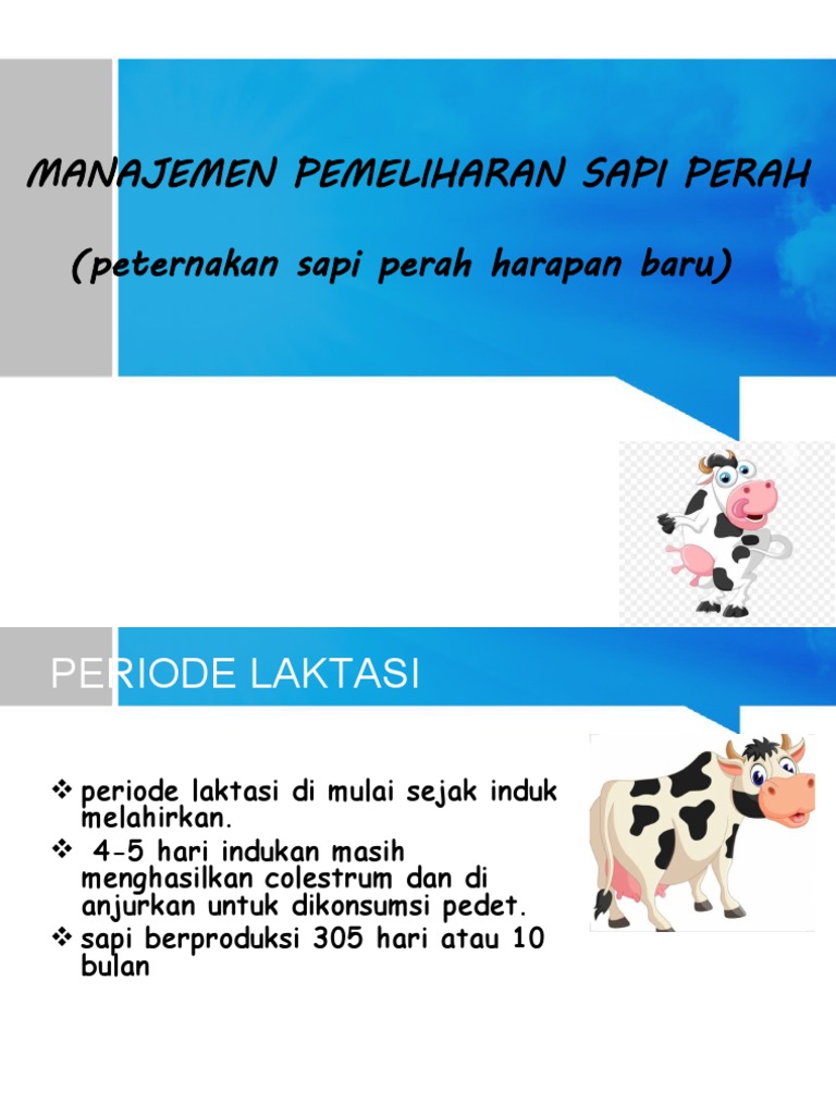 Manajemen Pemeliharan Sapi Perah | PDF