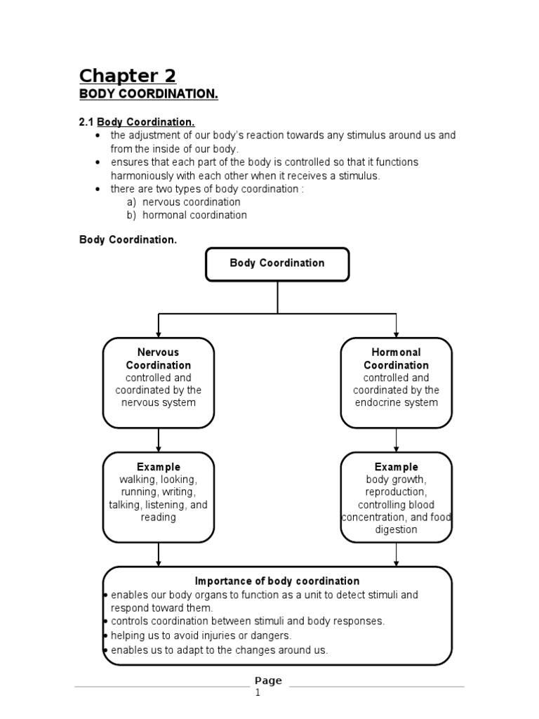 2.1 Body Coordination | PDF | Neuron | Axon