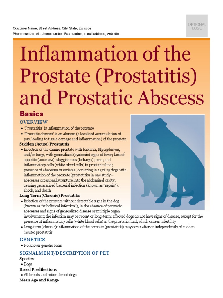 Inflammation of The Prostate (Prostatitis) and Prostatic Abscess | PDF ...