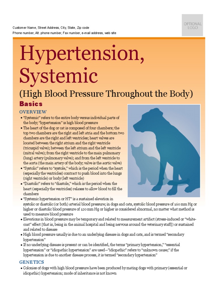 Hypertension, Systemic: (High Blood Pressure Throughout The Body) | PDF ...