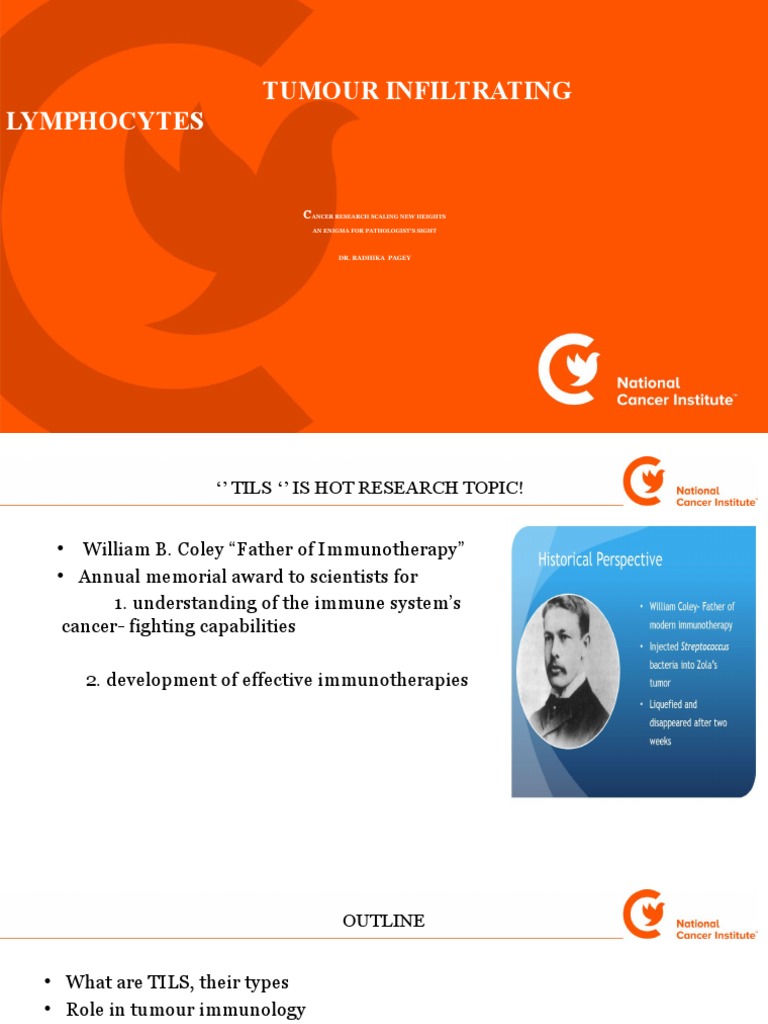 Tumour Infiltrating Lymphocytes Pdf Lymphocyte Immunohistochemistry