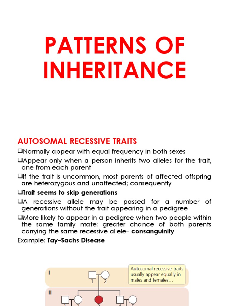 5 Patterns of Inheritance | PDF | Dominance (Genetics) | Zygosity