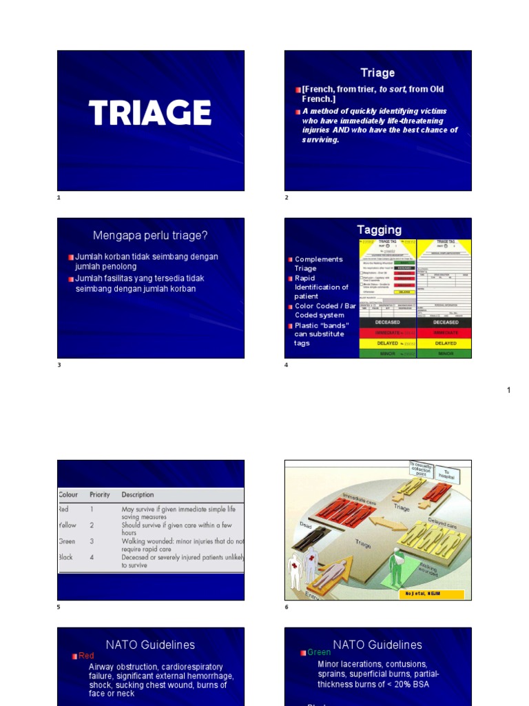 Triage PDF | PDF