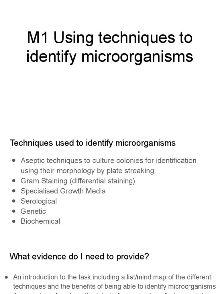 Microorganism Identification Techniques | PDF | Elisa | Staining