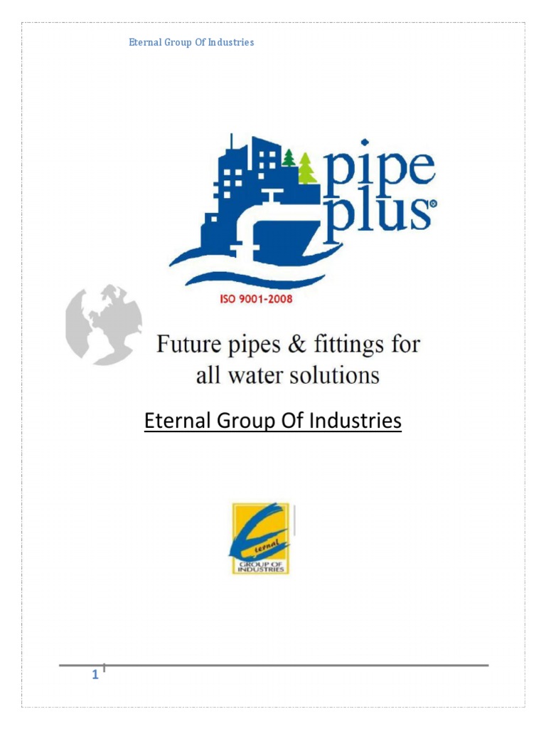 Pipe Plus Short Introduction | PDF | Industries | Market (Economics)