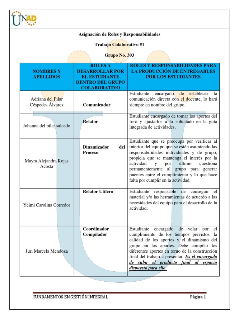 Tabla de Roles, Actividad #1 | PDF | Business | Informática y ...
