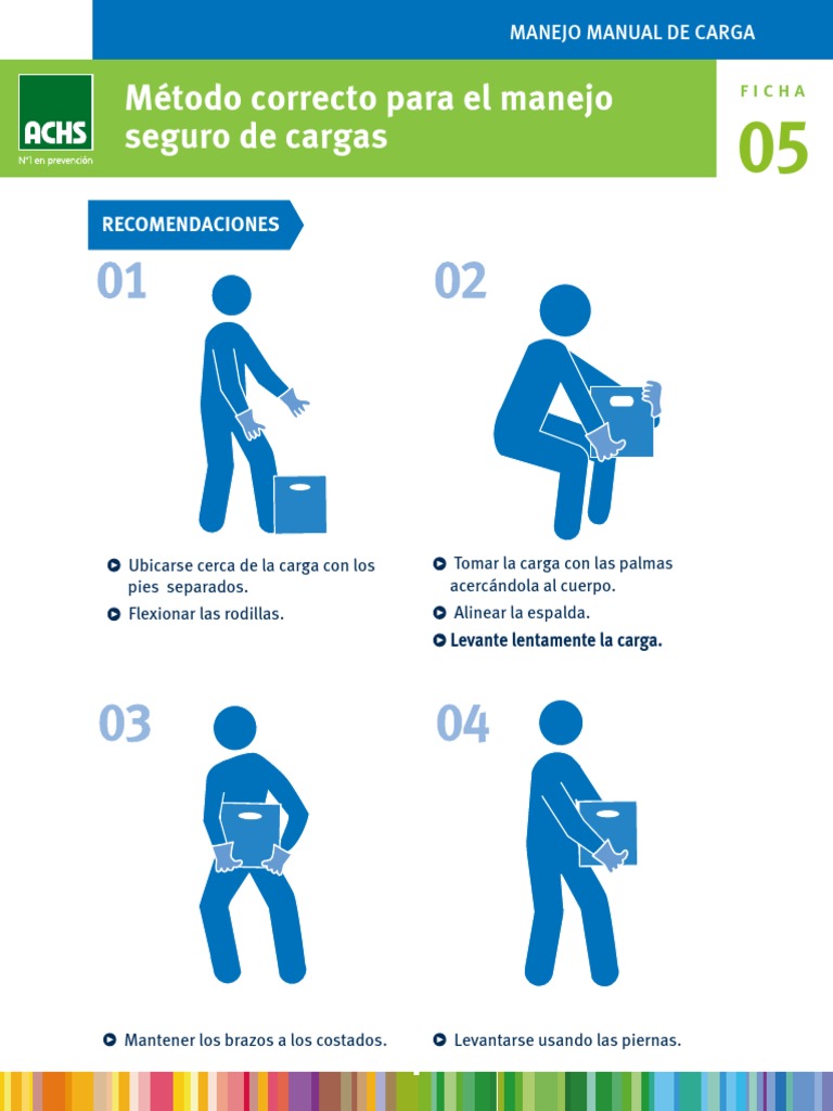 Guía Segura para Manejo de Cargas | PDF
