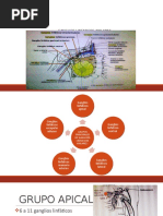 Niveles Axilares de Berg | PDF | Finanzas y dinero