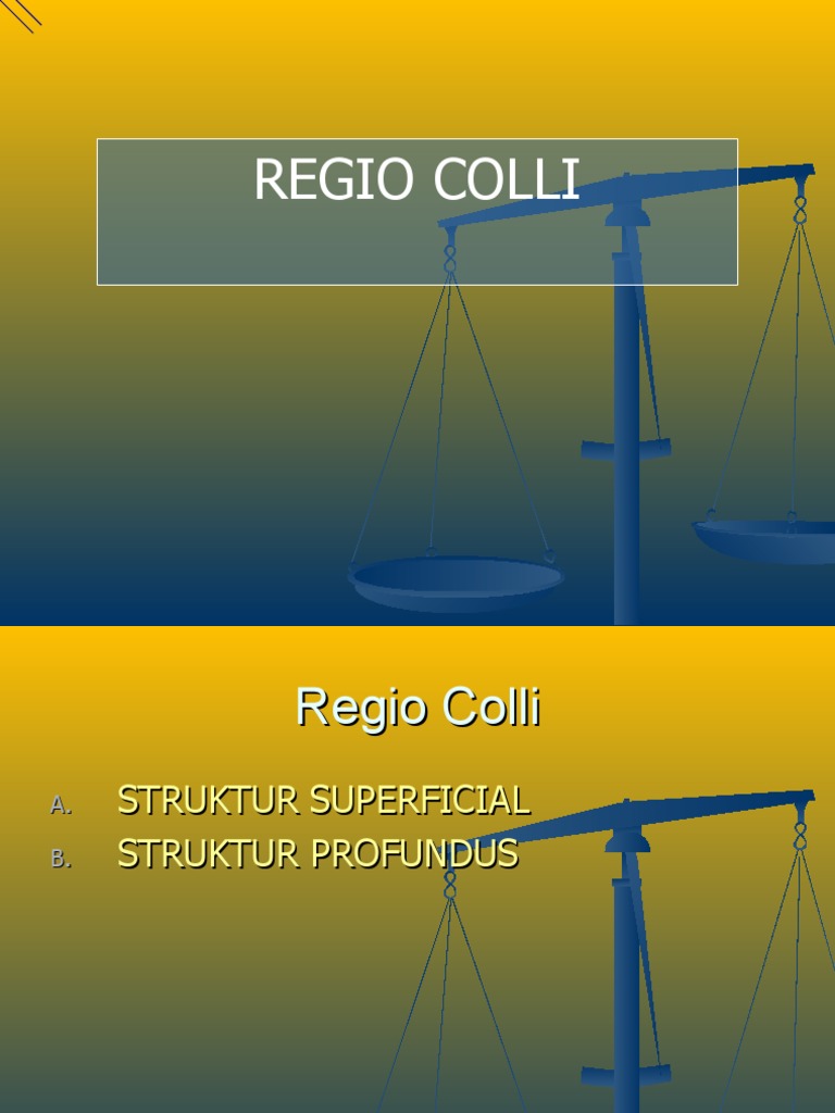 REGIO COLLI: STRUKTUR DAN VASKULARISASI | PDF