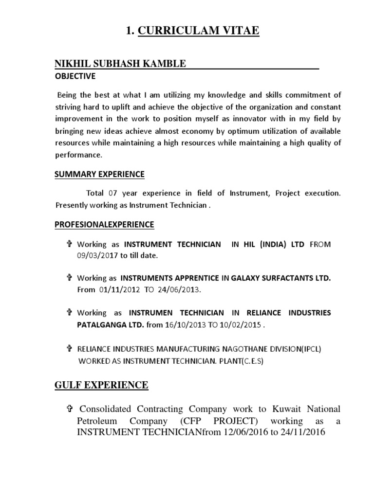 Nikhil Kamble's Instrument Technician CV | PDF | Mechanical Engineering ...