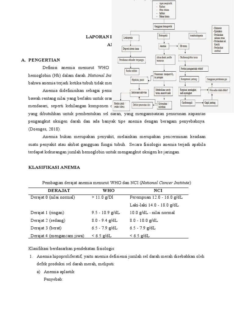 Panduan Lengkap Anemia: Definisi dan Klasifikasi | PDF