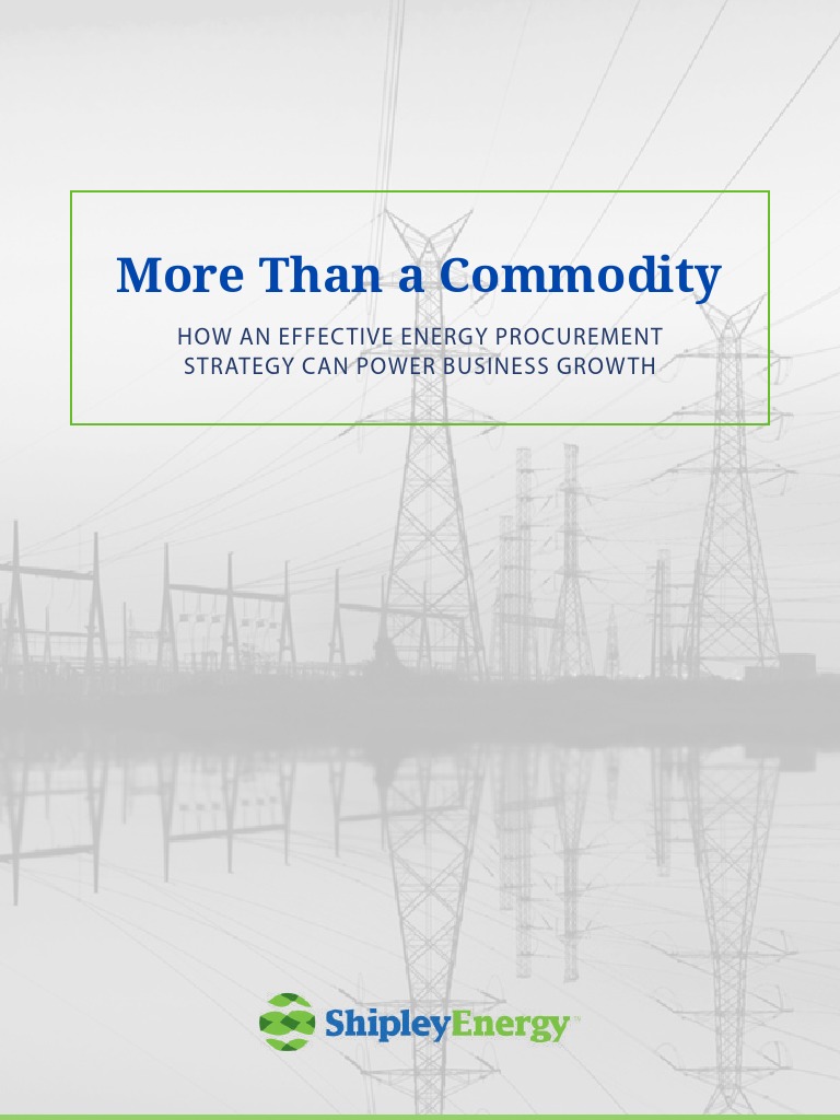 Shipley Guide More Than A Commodity - Compressed | PDF | Procurement ...