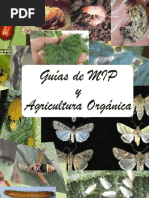 INTA Pulgones de La Alfalfa | PDF | Alfalfa | Insectos