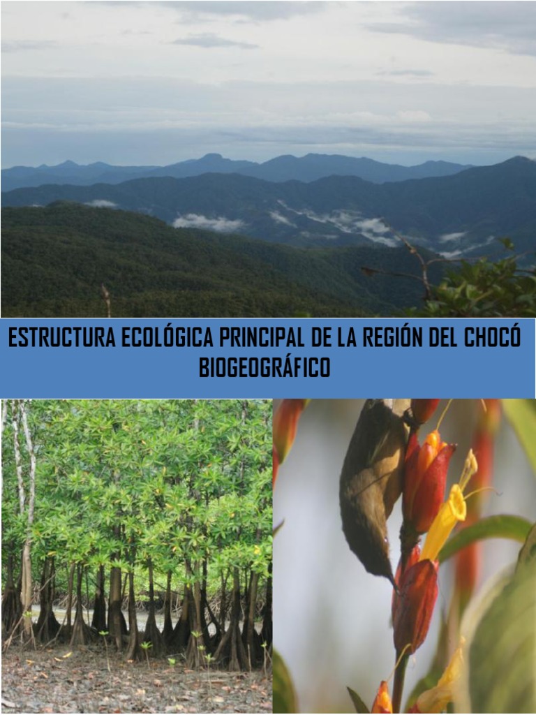 Estructura Ecologica Principal de La Region Del Choco Biogeografico PDF ...