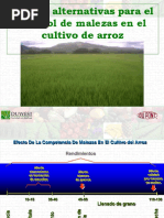 Ficha Tecnica Velfosato | PDF | Absorción (Química) | Agua