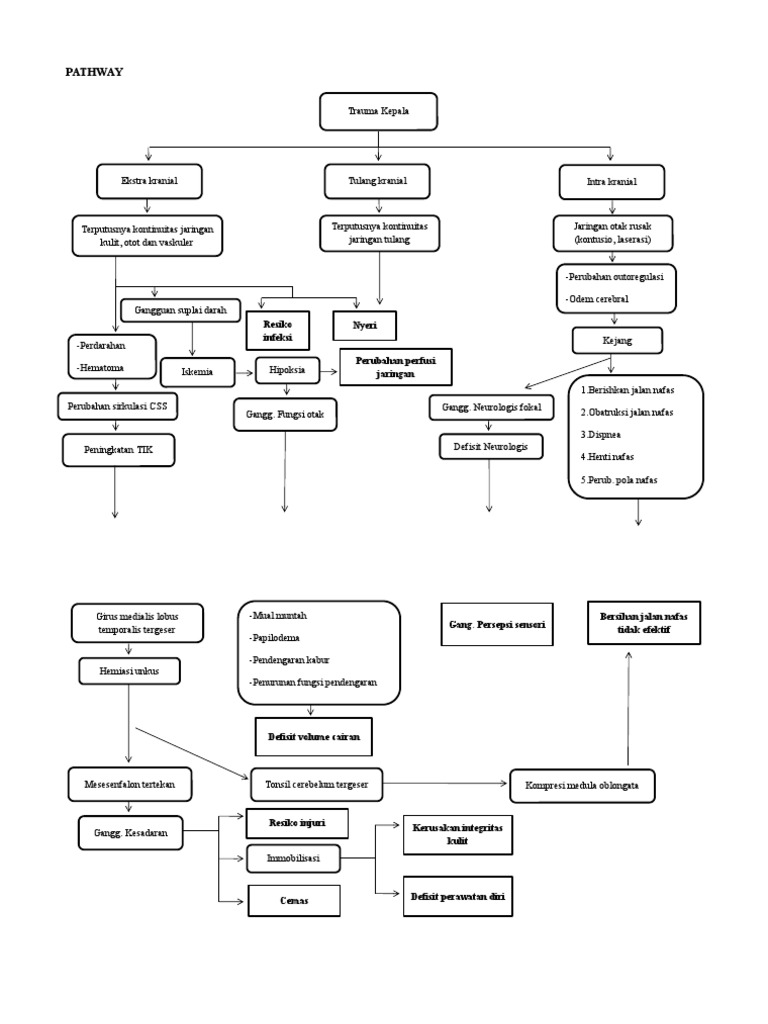 Pathway CKR (Ica Cantik) | PDF