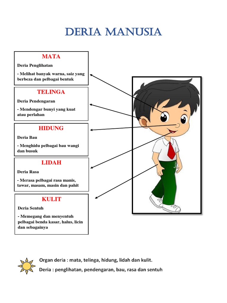 Deria Manusia untuk Tahun 1 | PDF | Seni & Disiplin Bahasa ...