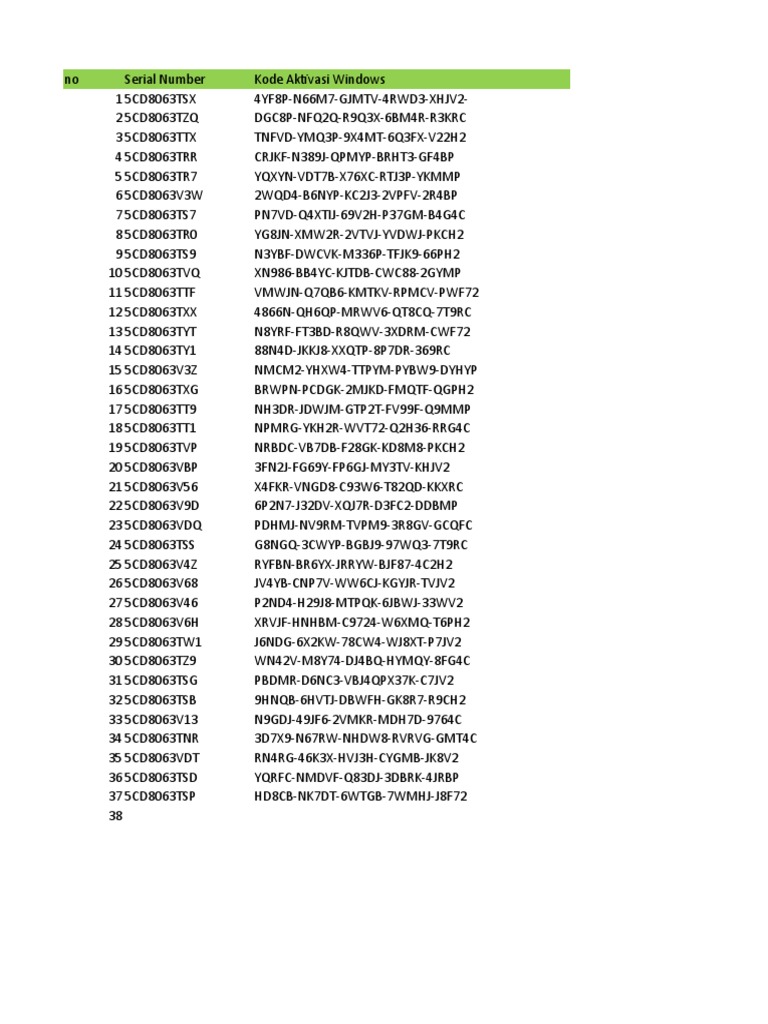 Laptop Serial Number Examples | PDF