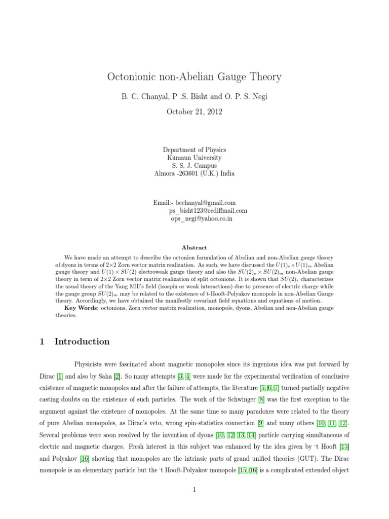 Octonionic Non-Abelian Gauge Theory PDF | PDF | Gauge Theory | Particle ...