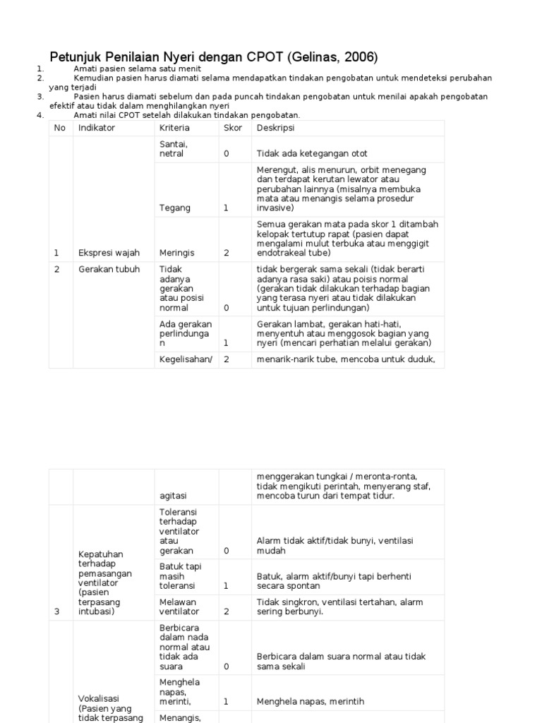 Petunjuk Penilaian Nyeri Dengan CPOT | PDF
