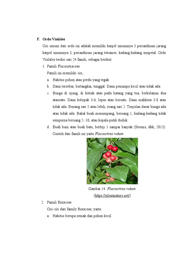 Ordo Violales (Lengkap) | PDF