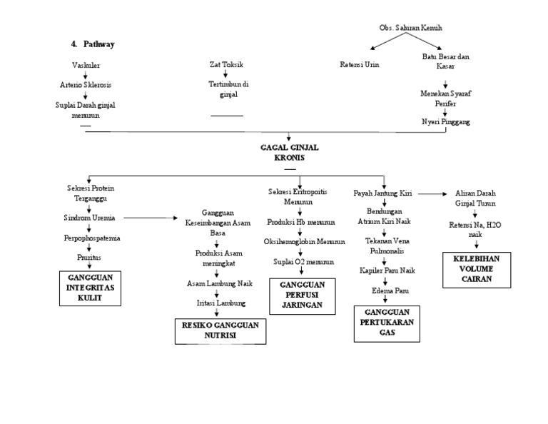 Pathway CKD | PDF
