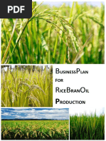 10KLPD Ethanol Plant Report | PDF | Ethanol