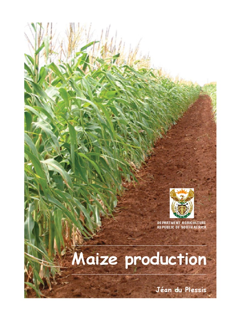 Maize Production | PDF