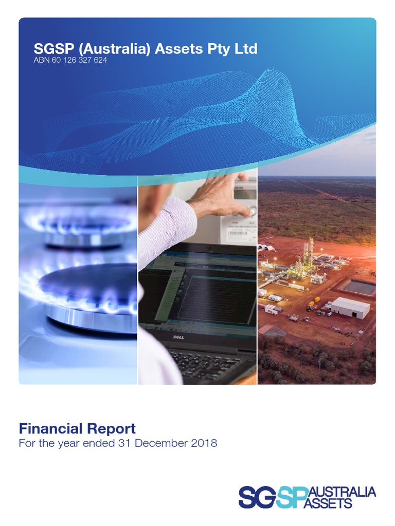 SGSPAA Group Accounts 31 Dec 2018 Signed PDF | PDF | Dividend ...