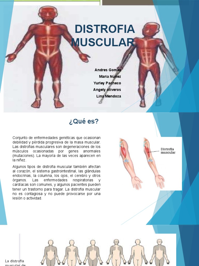Distrofia Muscular | PDF | Electromiografia | Epidemiología