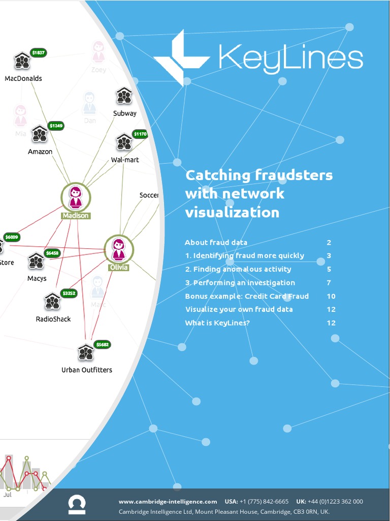 Catching Fraudsters With Network Visualization | PDF | Icon (Computing ...