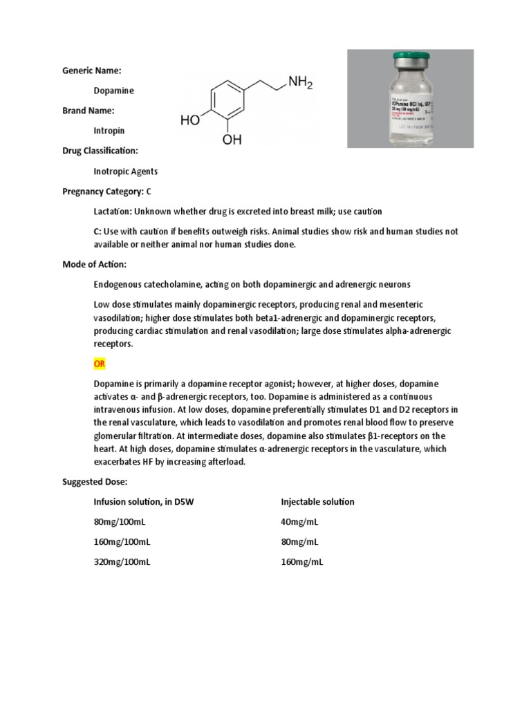 Dopamine Drug Study | PDF | Intravenous Therapy | Dopamine