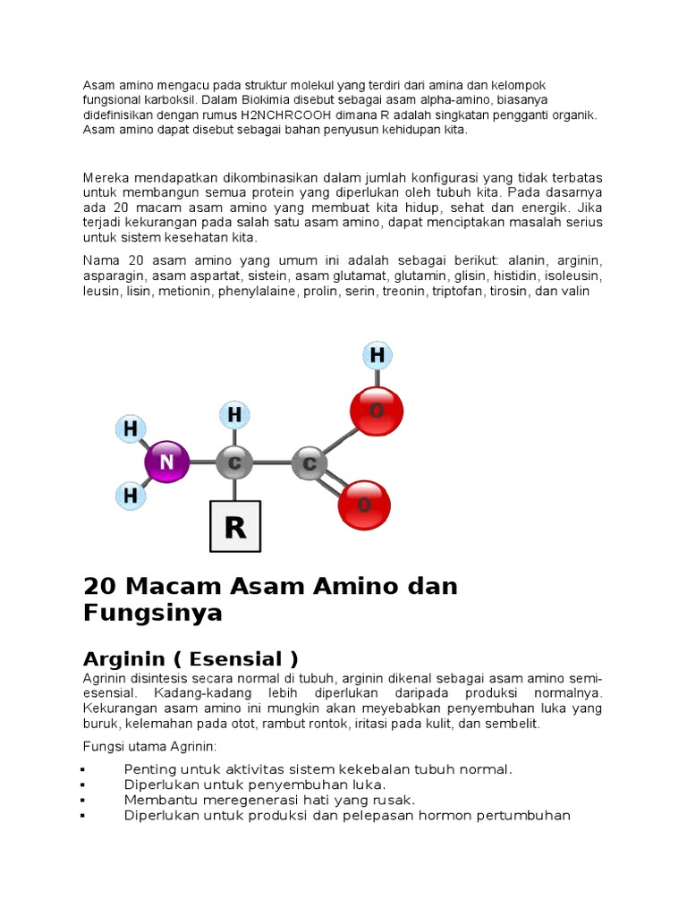 20 Macam Asam Amino Dan Fungsinya | PDF