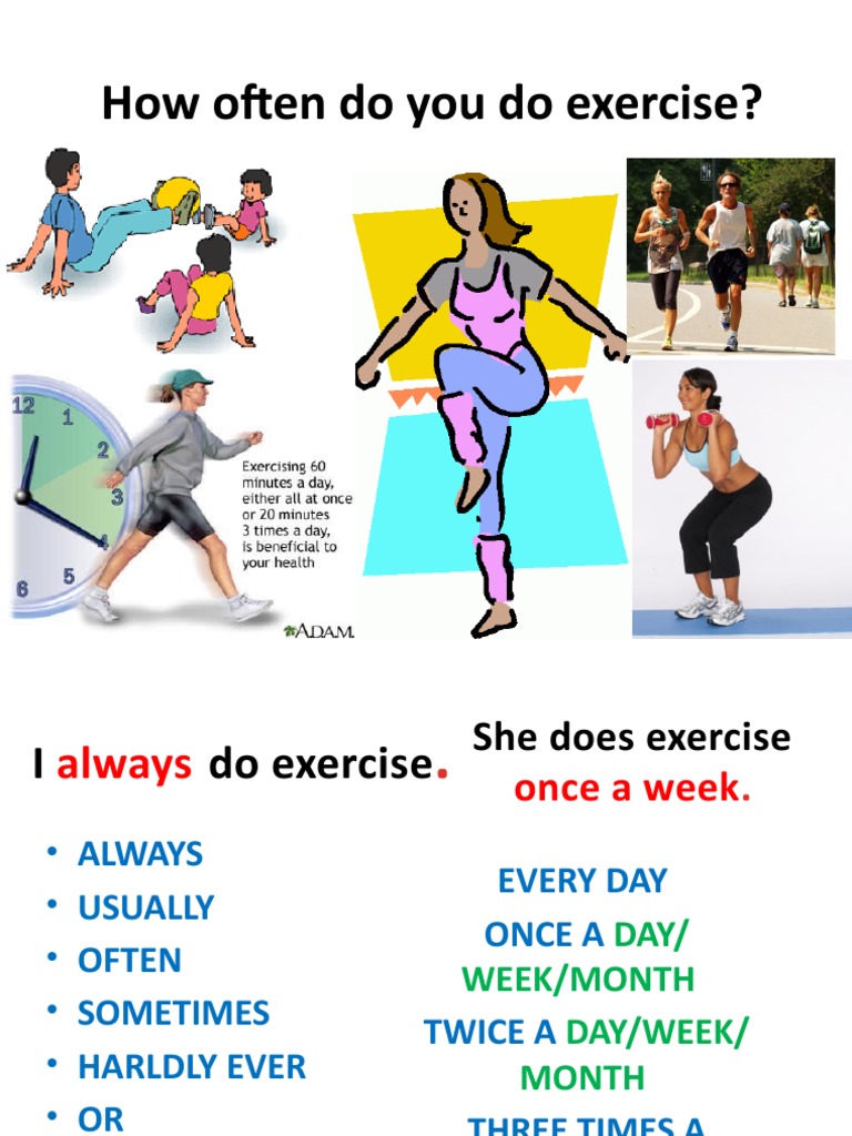 How Often Do You Do Exercise | PDF