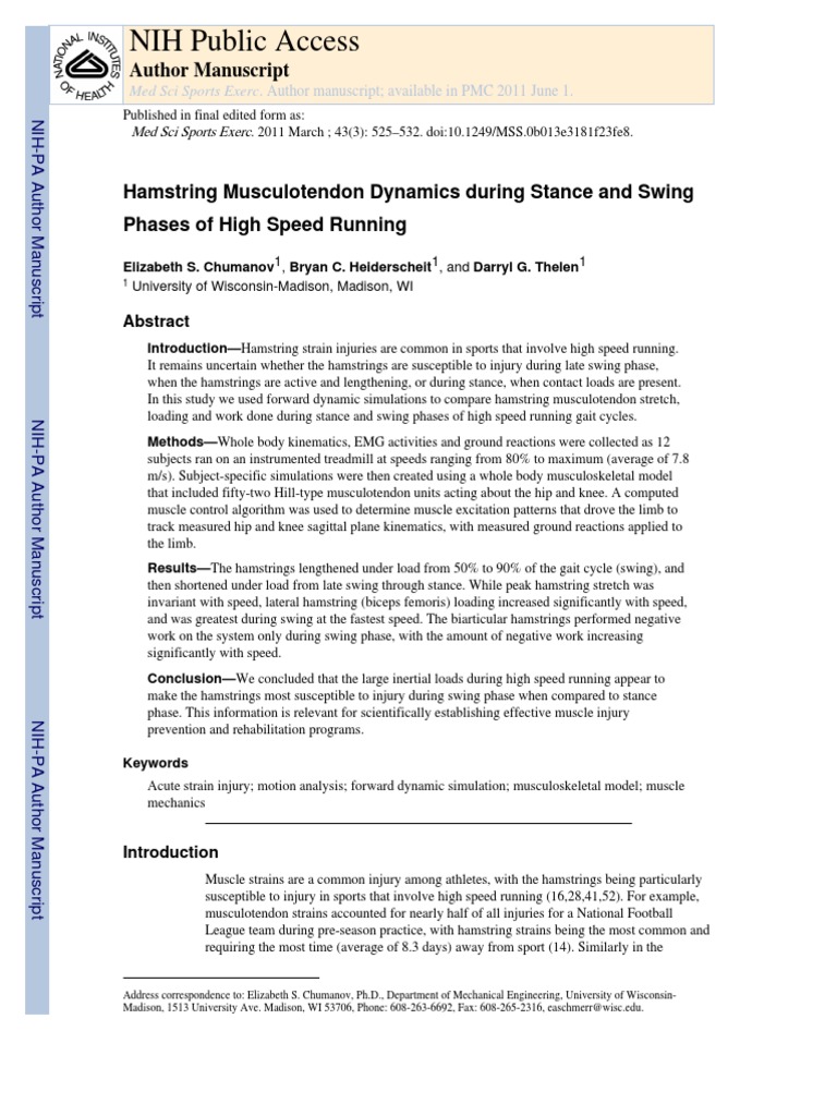 Hamstring Musculotendon Dynamics During Stance and Swing Phases of High ...