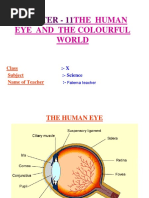 Class 8 Human Eye Notes | PDF | Eye | Human Eye