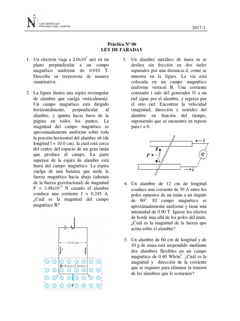 PRÁCTICA 06 - Ley de Faraday | PDF | Campo magnético | Imán