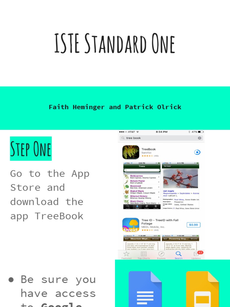 Iste Standard One | PDF