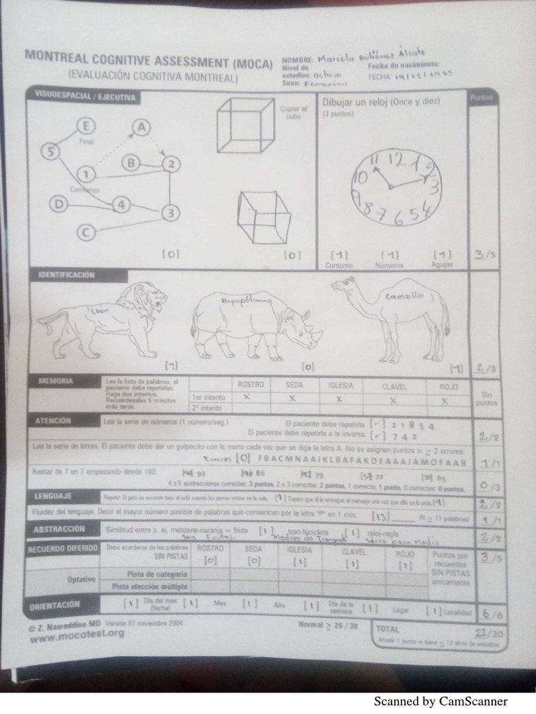 Hoja Prueba de Moca | PDF