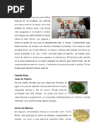 Chuales: Tradición Cuaresmeña en Durango | PDF | Salsa | Maíz