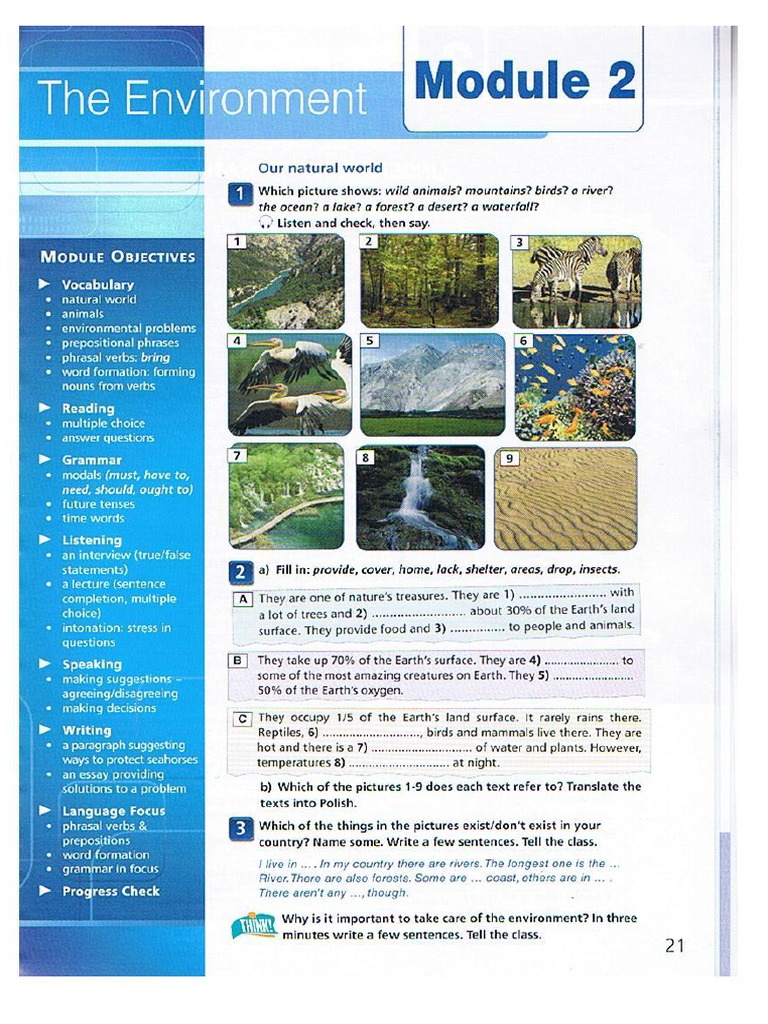 On Screen Intermediate Module 2 | PDF