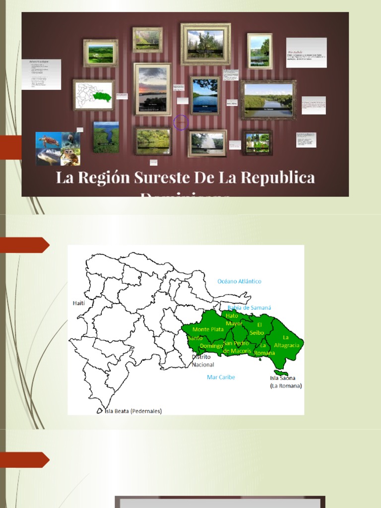 Region Sureste de La Republica Dominicana | PDF | Organismos | Conservación