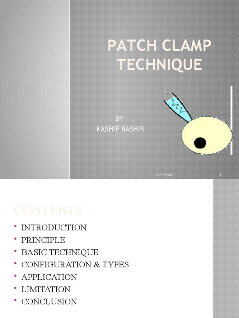 Patch Clamp Technique: BY Kashif Bashir | PDF | Neurophysiology ...